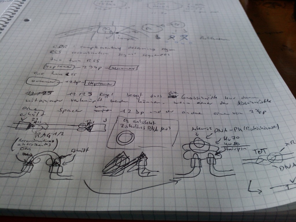 Immunologie | waterstorm.de :: Tech stuff & Tutorials