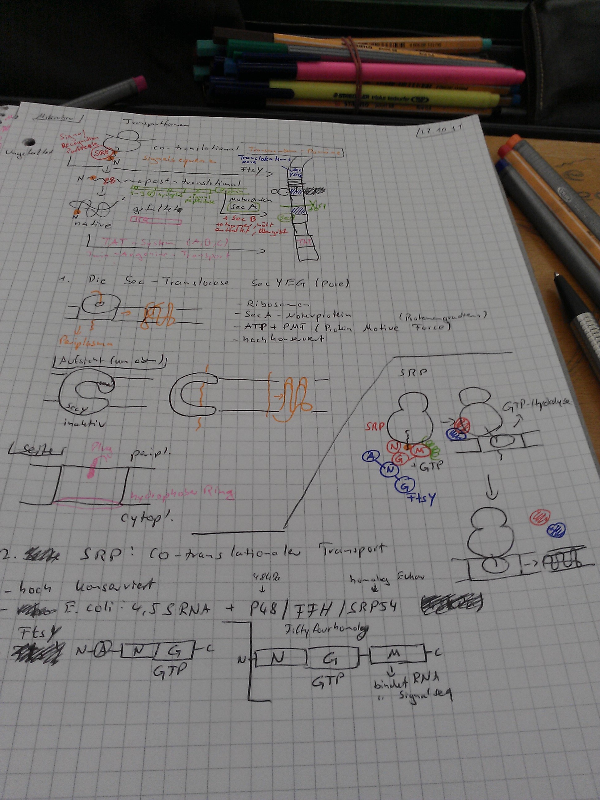 Mikrobio | waterstorm.de :: Tech stuff & Tutorials