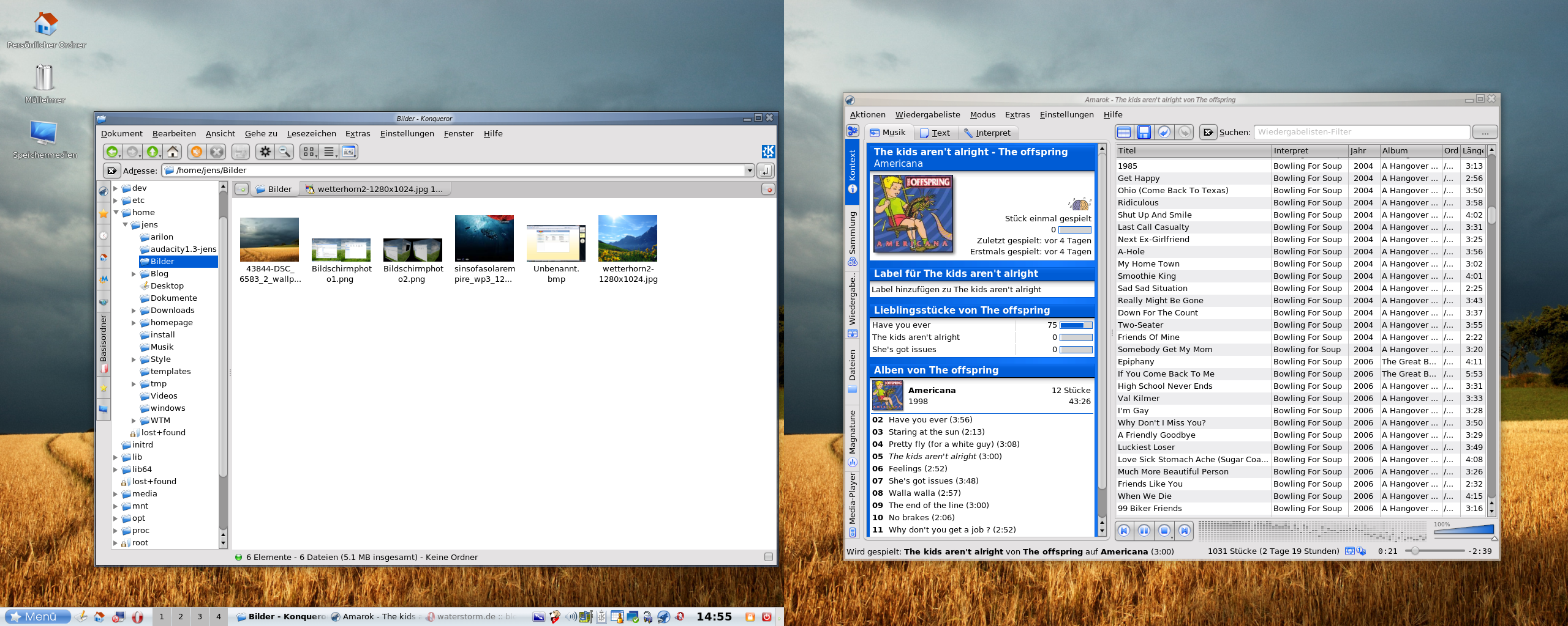 Mandriva Linux die 2. | waterstorm.de :: Tech stuff & Tutorials
